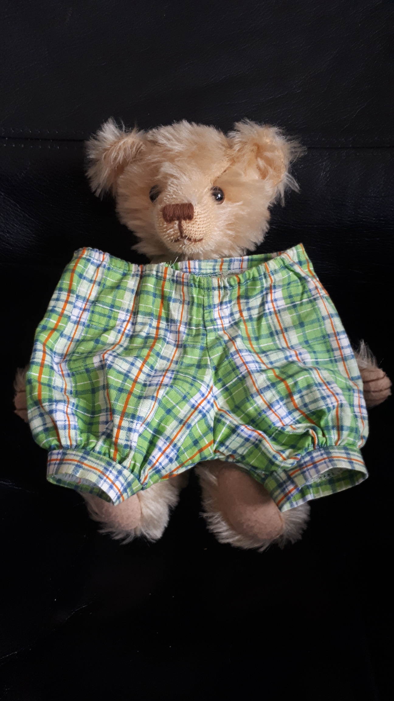 Teddymagie – Das Leben der Teddybären im hier und jetzt und gestern