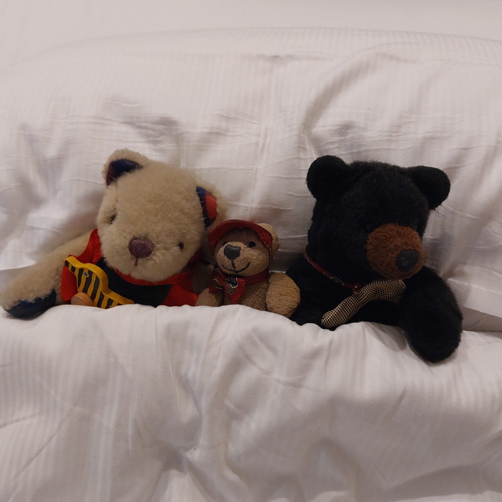 Teddymagie – Das Leben der Teddybären im hier und jetzt und gestern